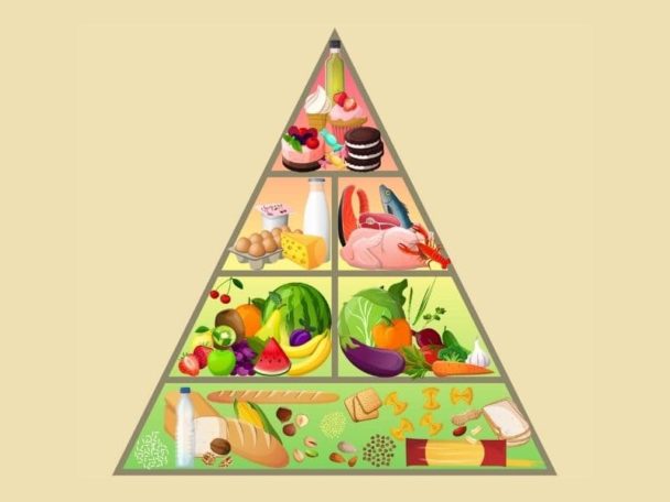 Vad är matpyramiden och vad är dess egenskaper? – Fitness Magazine