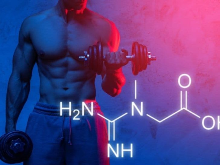 What is Beta-Alanine? What is it Used For? Possible Side Effects ...