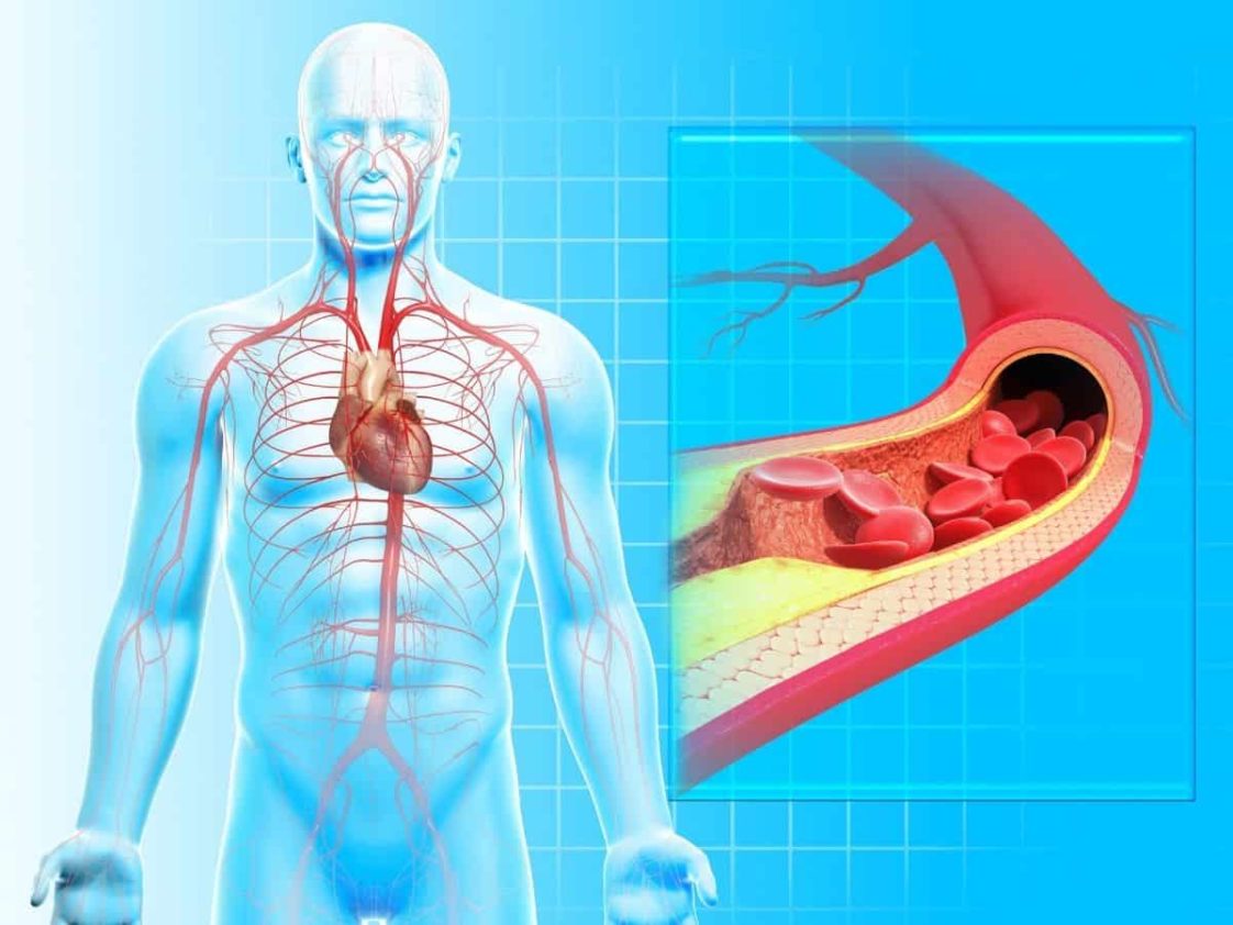 ควรใช้ครีเอทีนอย่างไร? - นิตยสารฟิตเนส