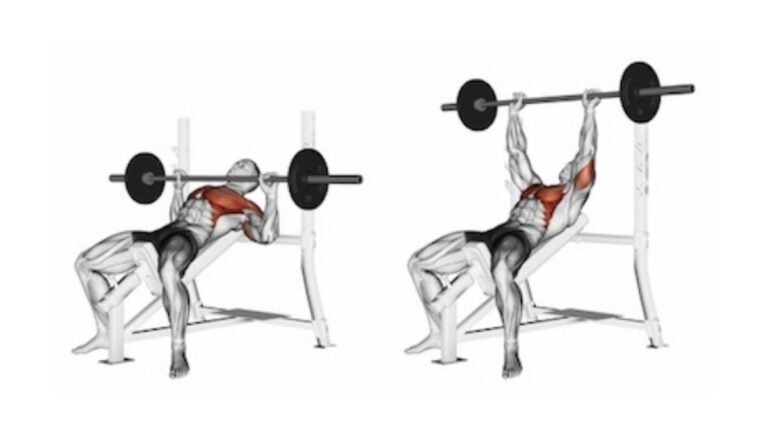 Los mejores ejercicios de press de pecho – Revista Fitness