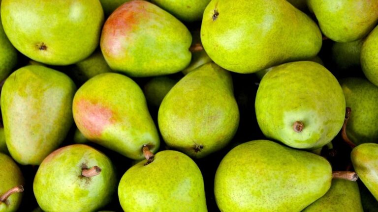 How Many Calories Are in 1 Pear? Nutritional Value of Pears - Fitness ...