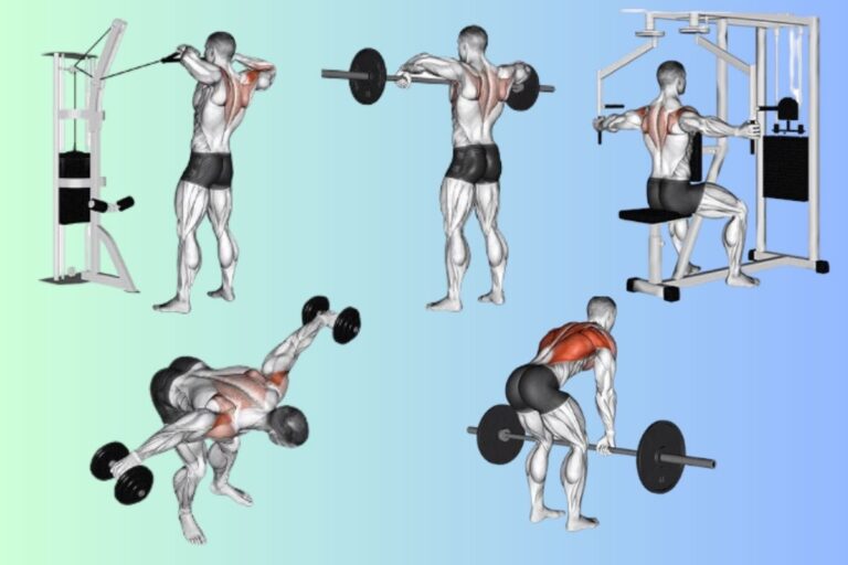 5 najboljših vaj za izgradnjo mišic za biceps! - Revija za fitnes